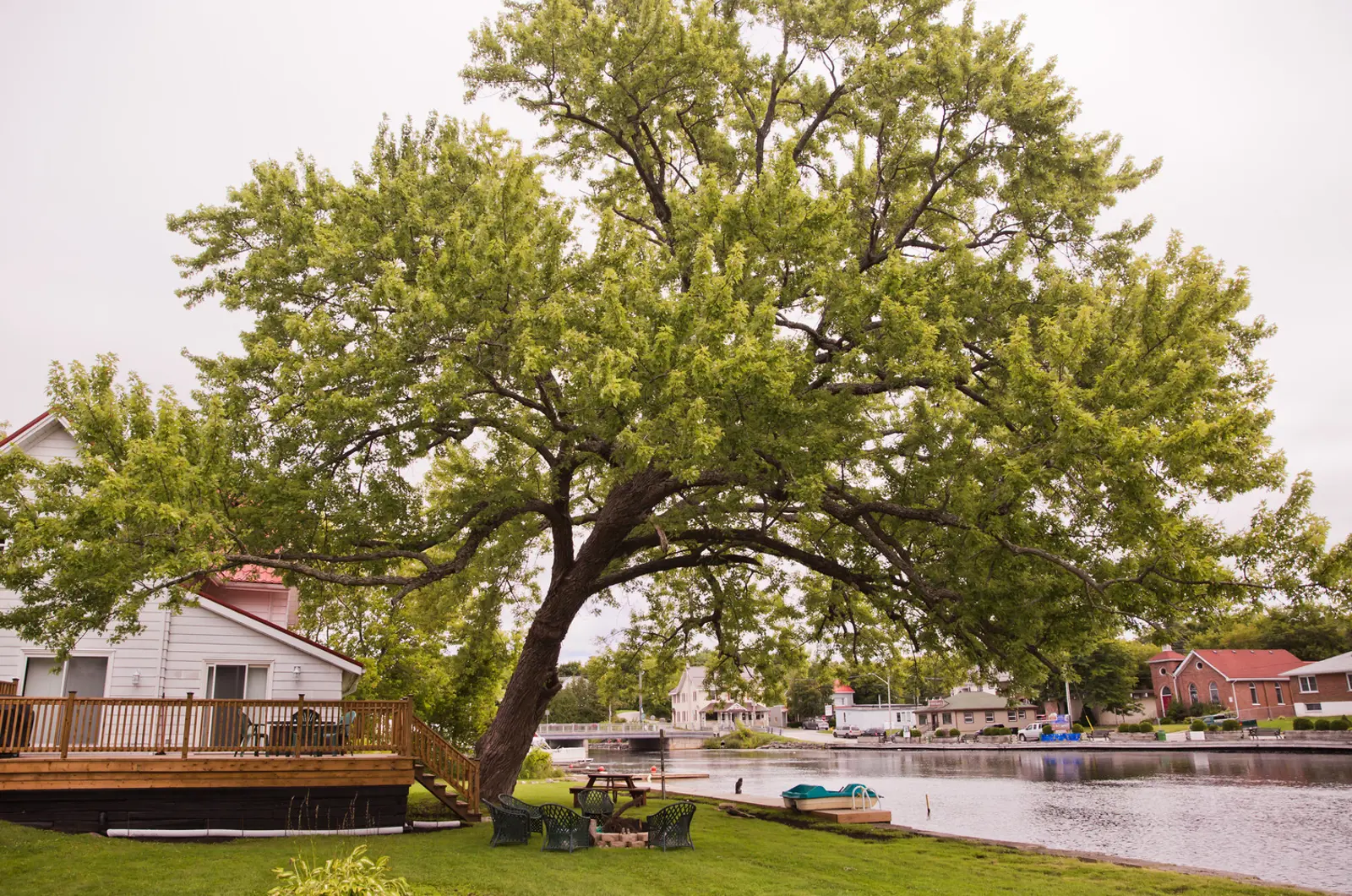 Coboconk | Canada's Freshwater Summit & Lakeside Culture