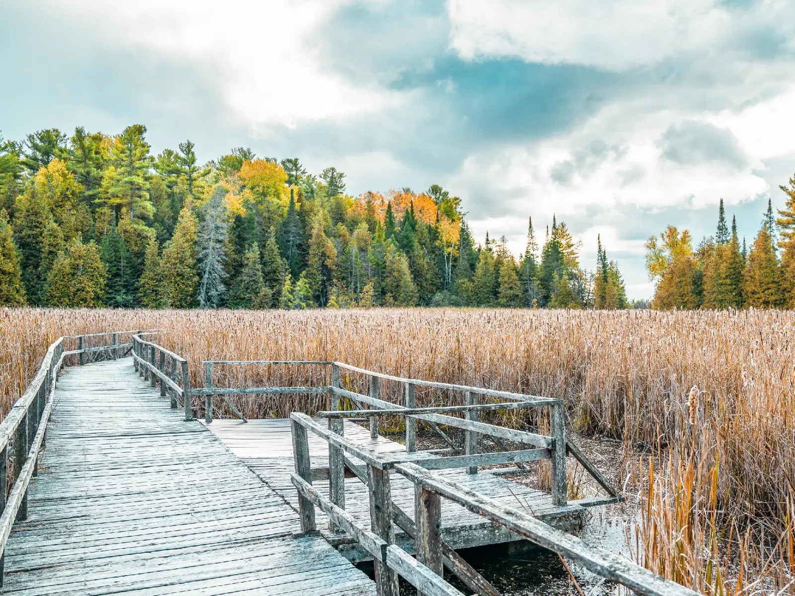 Lindsay & Area | Culture, Festivals, Trails & Heritage