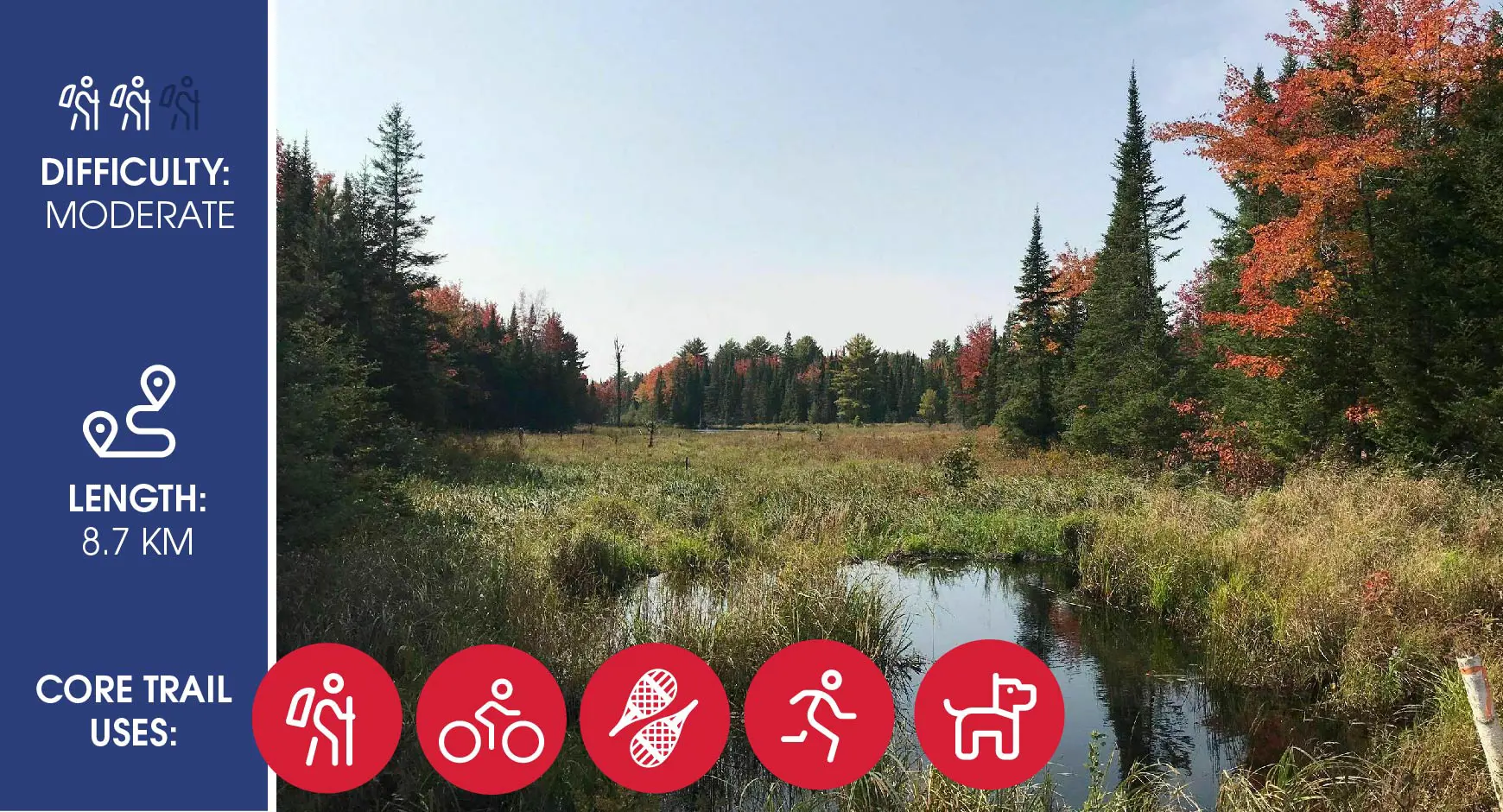 Trail Cycling in Kawartha Lakes, ride rail trails and roads